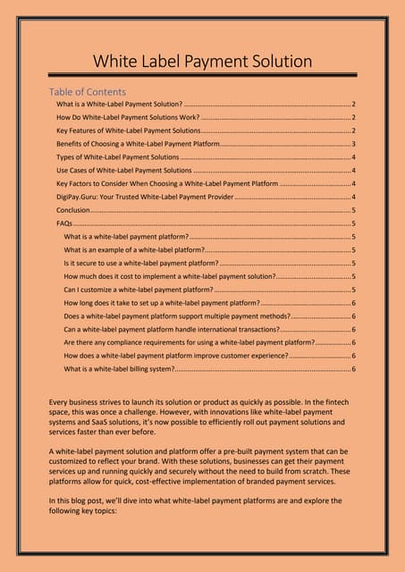 White Label Payment Gateway vs. Traditional Payment Gateway Key ...