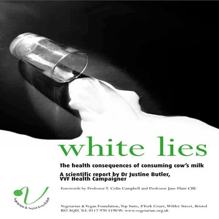 White Lies | PDF
