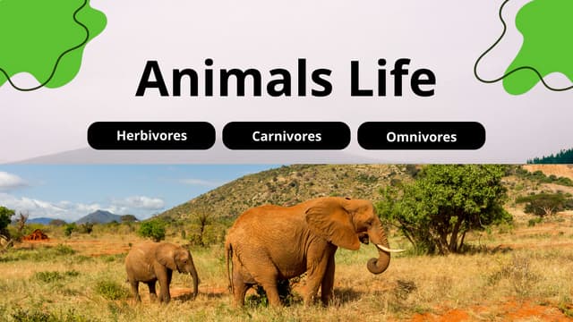 Herbivore, carnivore and omnivore animals | PPT