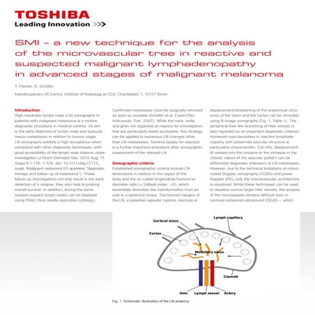 White paper "SMI – a new technique for the analysis of the ...
