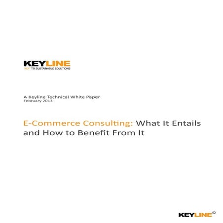 E-commerce Consulting | PDF