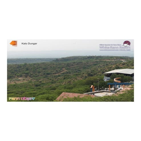 Rann utsav - White Rann Resort | PDF