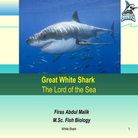 White shark 2012 | PPT