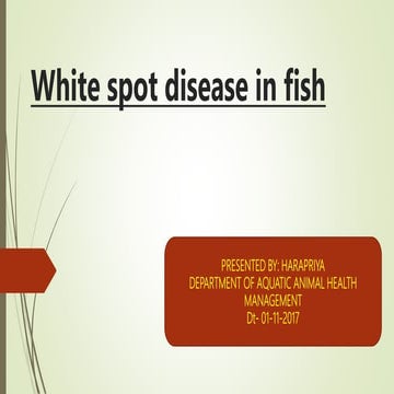Koi Herpes Virus (KHV) | PDF