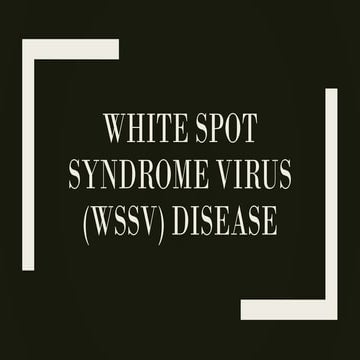 White Spot Syndrome Virus (WSSV) Disease - Villanueva.pdf