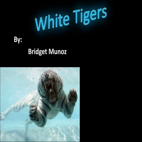 White tigers | PPTX
