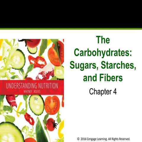 The Carbohydrates Chapter 4 | PPTX