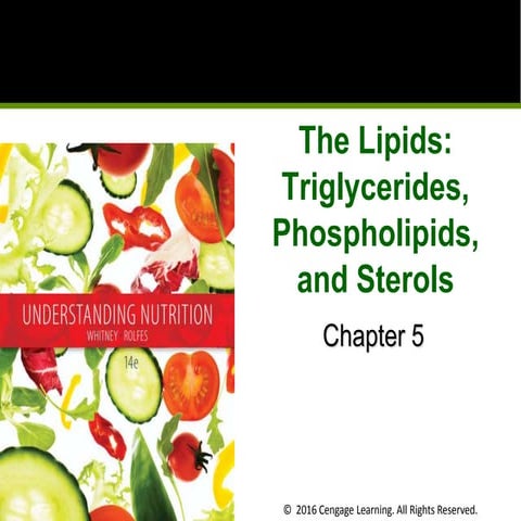 Chapter 5 The Lipids | PPT