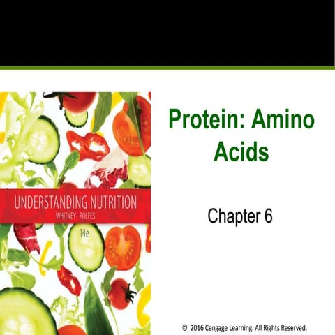 Chapter 6 Protein: Amino Acids | PPT