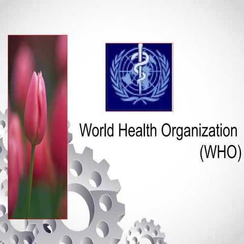 WHO 29 07 25.........................ppt