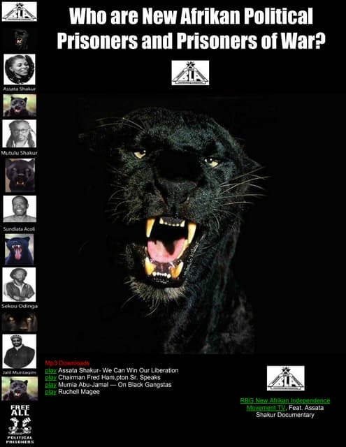 Black panther movement | PPTX