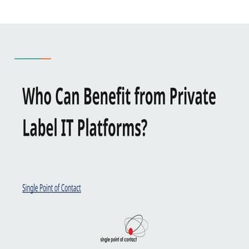 Who Can Benefit from Private Label IT Platforms? | PPTX | Information ...