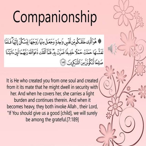 Who is your companion | PPT