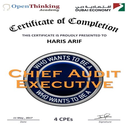 Who wants to be a Chief Audit Executive (cae) by open thinking academy & dubai economy (4 cp es ...