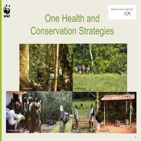 One Health and Conservation Strategies | PDF