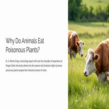 An Overview of Mycotoxicosis in Livestock | PPTX