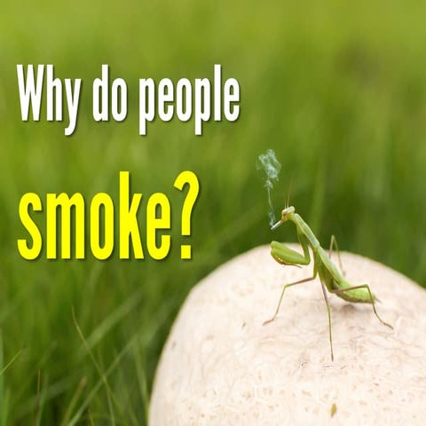 Why do people smoke? | PDF