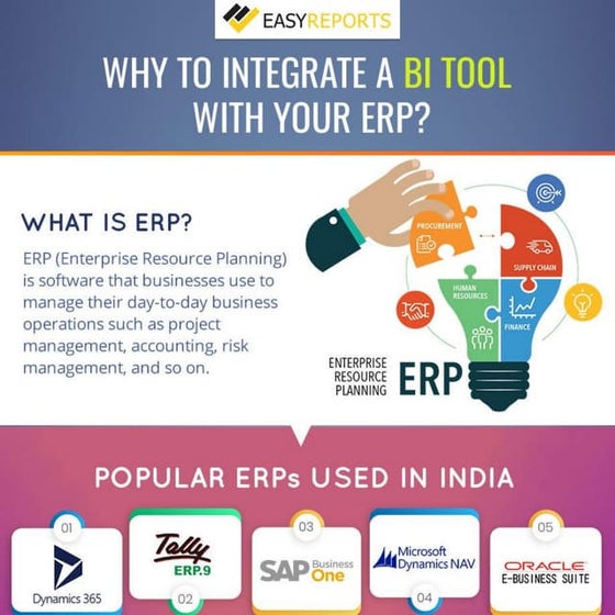Tally BI Tool To End Your Reporting Blues | PDF