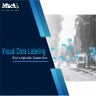 Why Visual Data Labeling is Important for Computer Vision Projects | PPTX