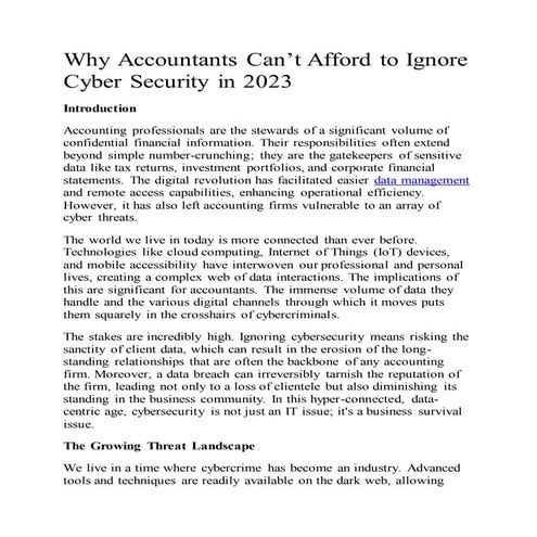 Why Accountants Can’t Afford to Ignore Cyber Security in 2023 | PDF ...