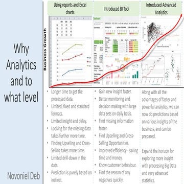 Why Analytics and to what level - By Novoniel Deb | PPTX