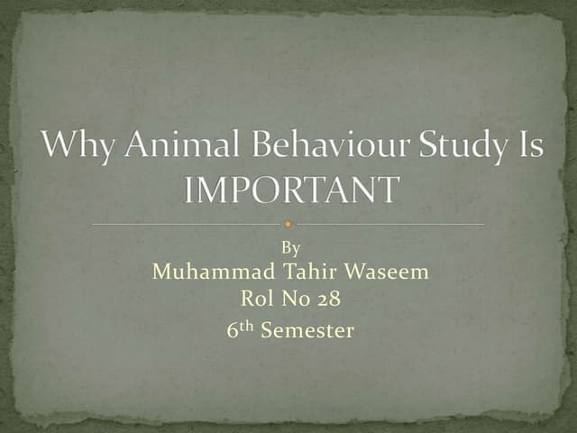 Methods for studying behaviour | PPTX