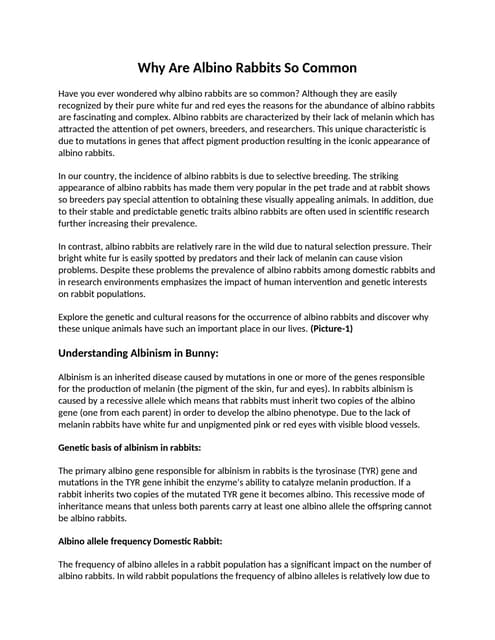 What is an Albino Rabbit: Physical Body of Albino Rabbit Breed | DOCX ...