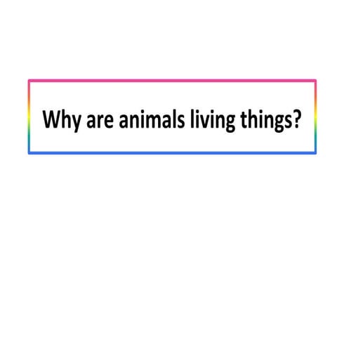 Why are animals living things? | PPT