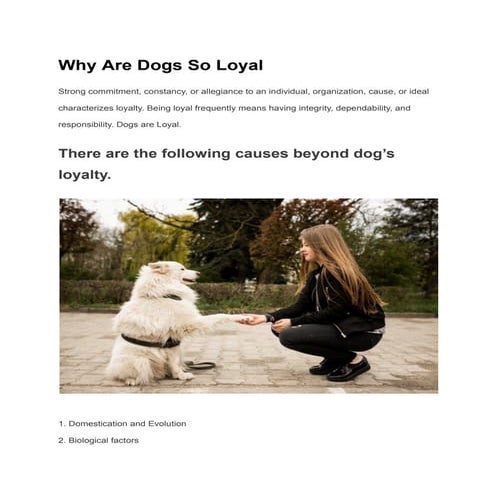 Why Are Dogs So Loyal causes beyond dog. | PDF
