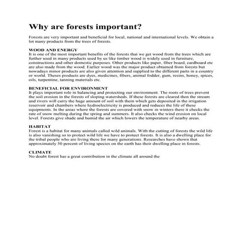 Rainforest Presentation | PPT