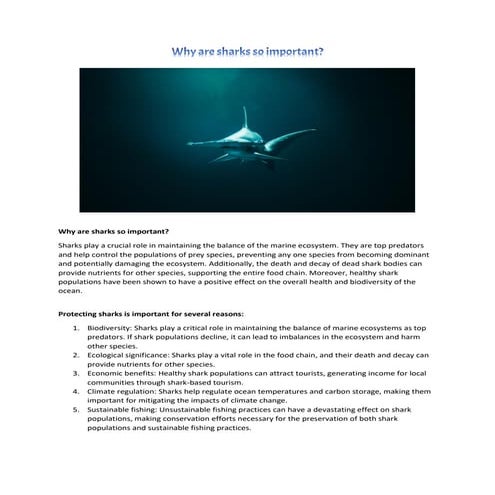 Why are sharks so important? | PDF
