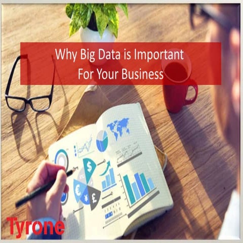 Why Big Data Is Important For A Business | PPTX
