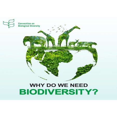 Frequently Asked Questions - Why biodiversity matter? | PDF
