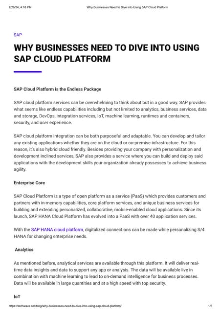 What Are SAP Cloud Services? | PDF