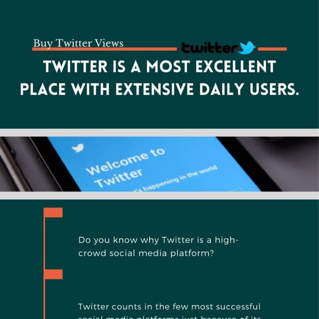Why Buy Twitter Views | PDF
