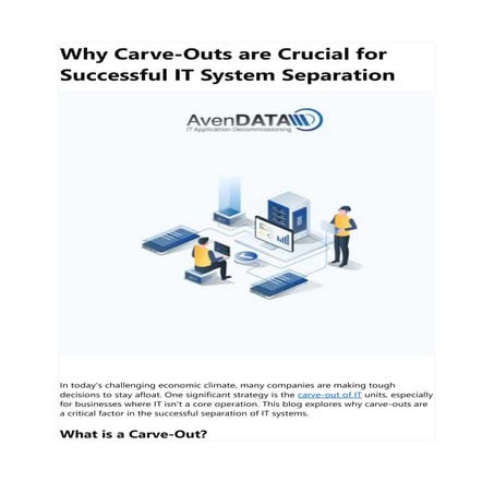Why Carve-Outs are Crucial for Successful IT System Separation.docx