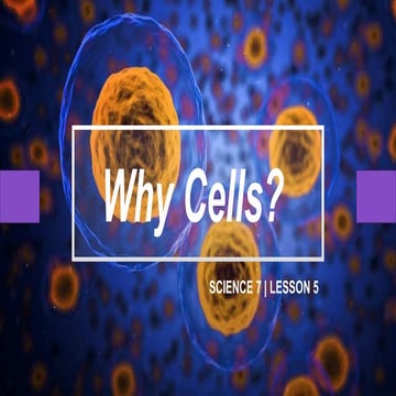 Why Cells.LESSON 5.pptx