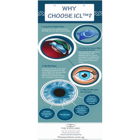 Why Choose ICL? | PDF