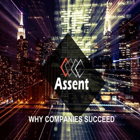 Why Companies Succeed | PDF