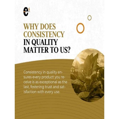 Why Does Consistency in Quality Matter to Use? | PPT