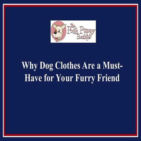 Why Dog Clothes Are a Must-Have for Your Furry Friend.ppt