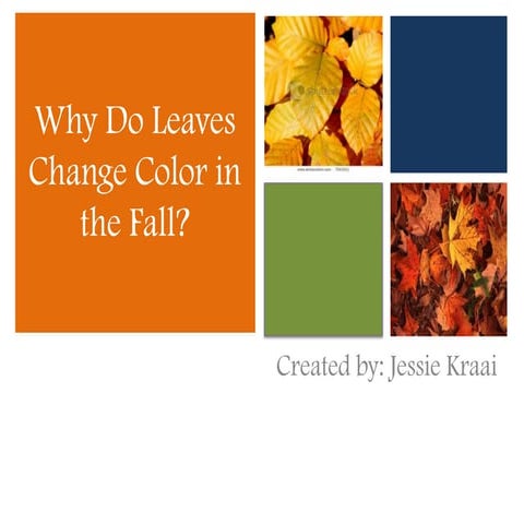 Why do leaves change colors | PPTX