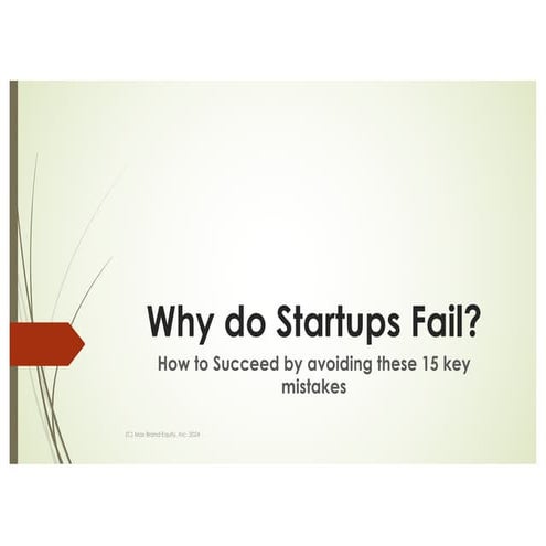 Why do Startups Fail 2024.pdf - avoid mistakes | PDF