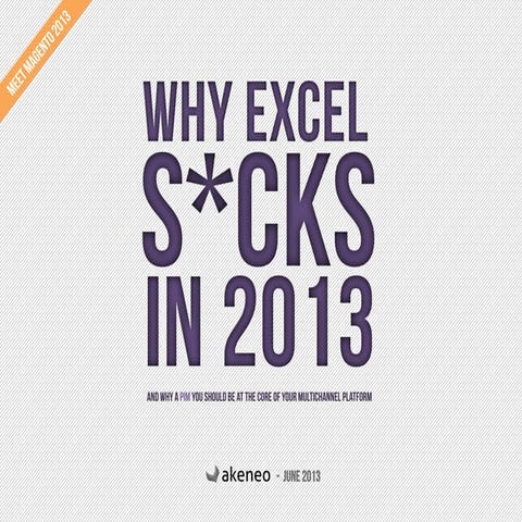 Why Excel Sucks in 2013 | PDF