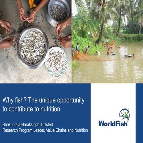 Why fish? The unique opportunity to contribute to nutrition | PPT