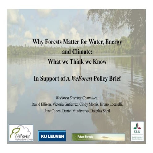 Why forests matter for water, energy and climate: what we think we know ...