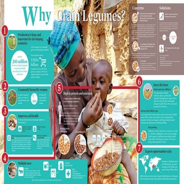 Why grain legumes? | PDF