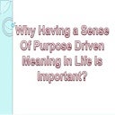 Why Having a Sense Of Purpose Driven Meaning In Life Is Important? | PPTX