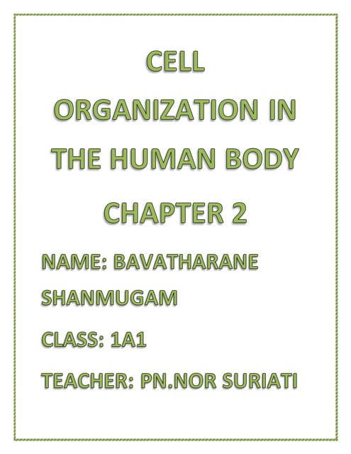 Presentation for science | PPTX | Biological Sciences | Science