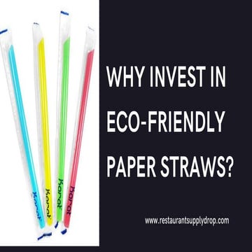 WHY INVEST IN ECO-FRIENDLY PAPER STRAWS? | PPT